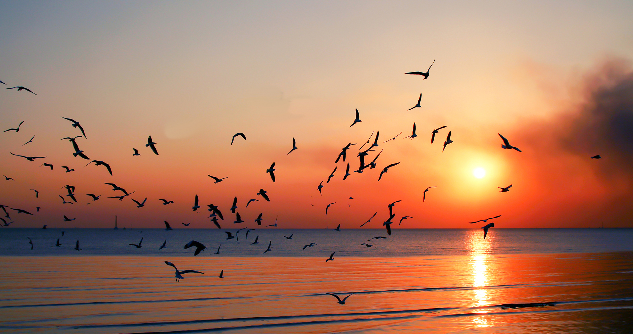 RETIREMENT INCOME COVENANT FINALLY SEES THE LIGHT OF DAY | Herbert ...