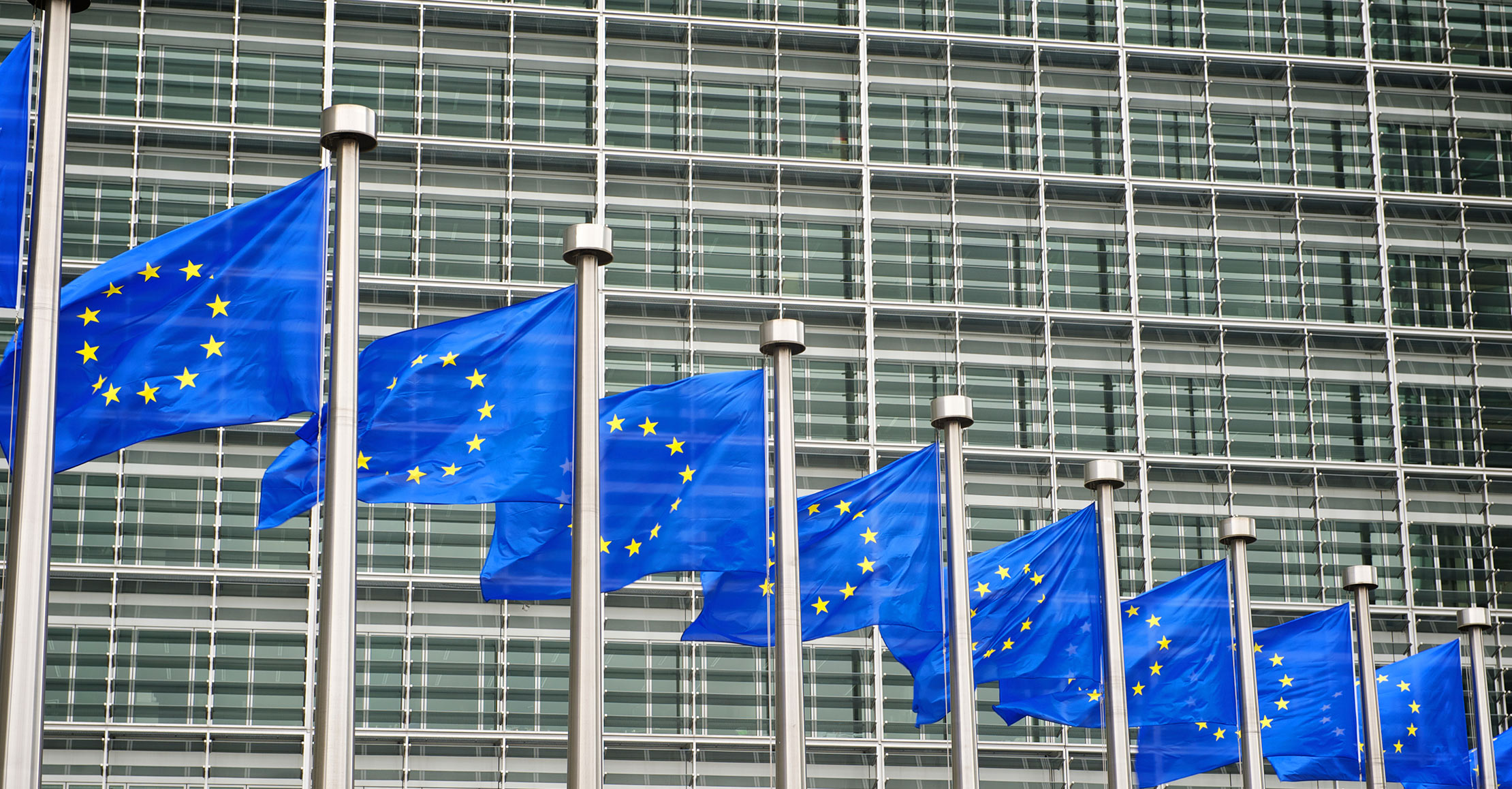 EU regulation | Herbert Smith Freehills Kramer | Global law firm