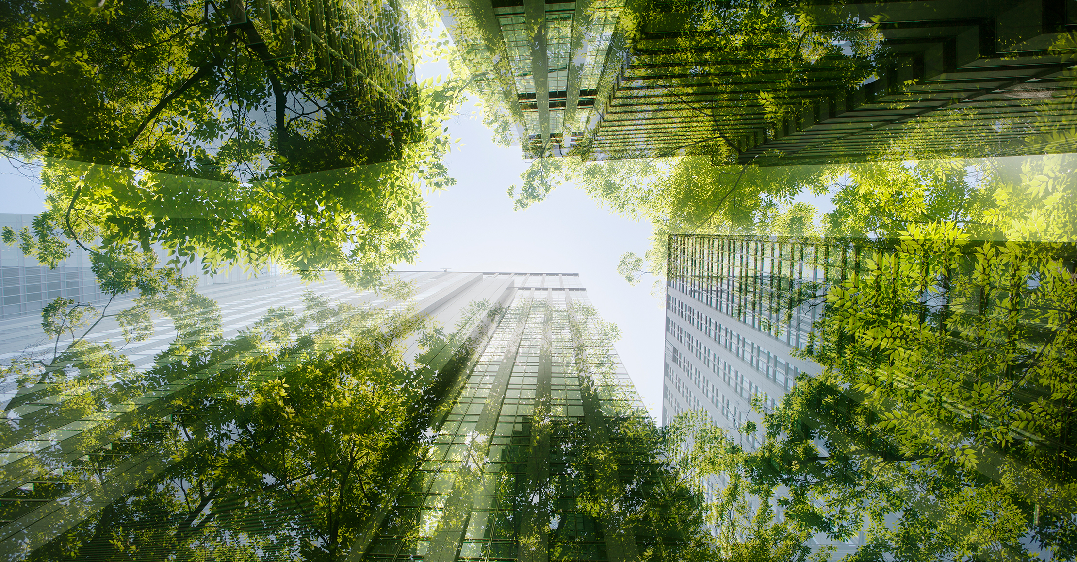 France Unveils the Third National Climate Change Adaptation Plan (PNACC-3)
