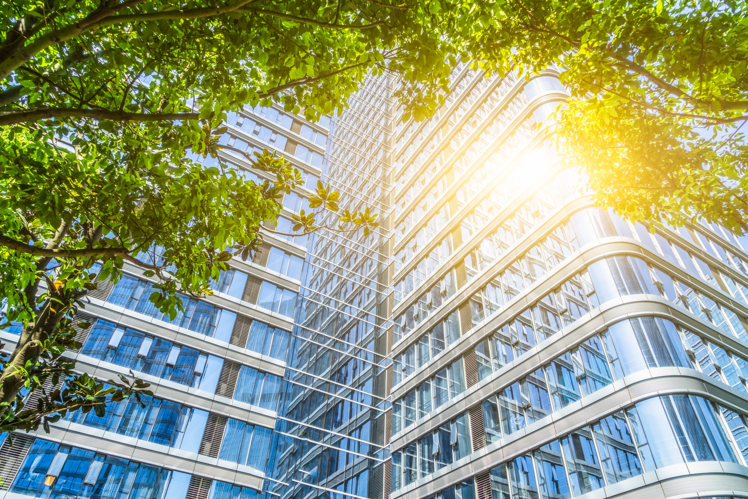 UK Government issues final UK Sustainability Reporting Standards (UK ...