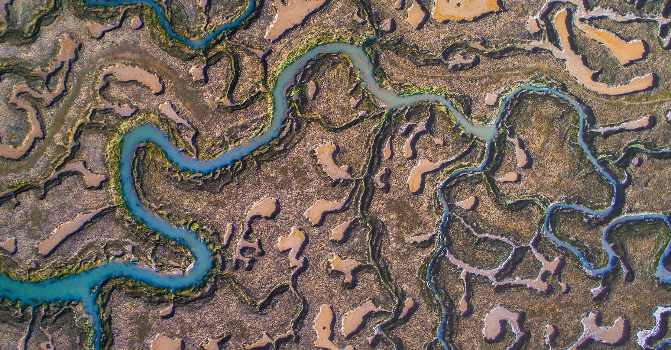 M&A Standpoint: A very different D&O landscape | Herbert Smith ...