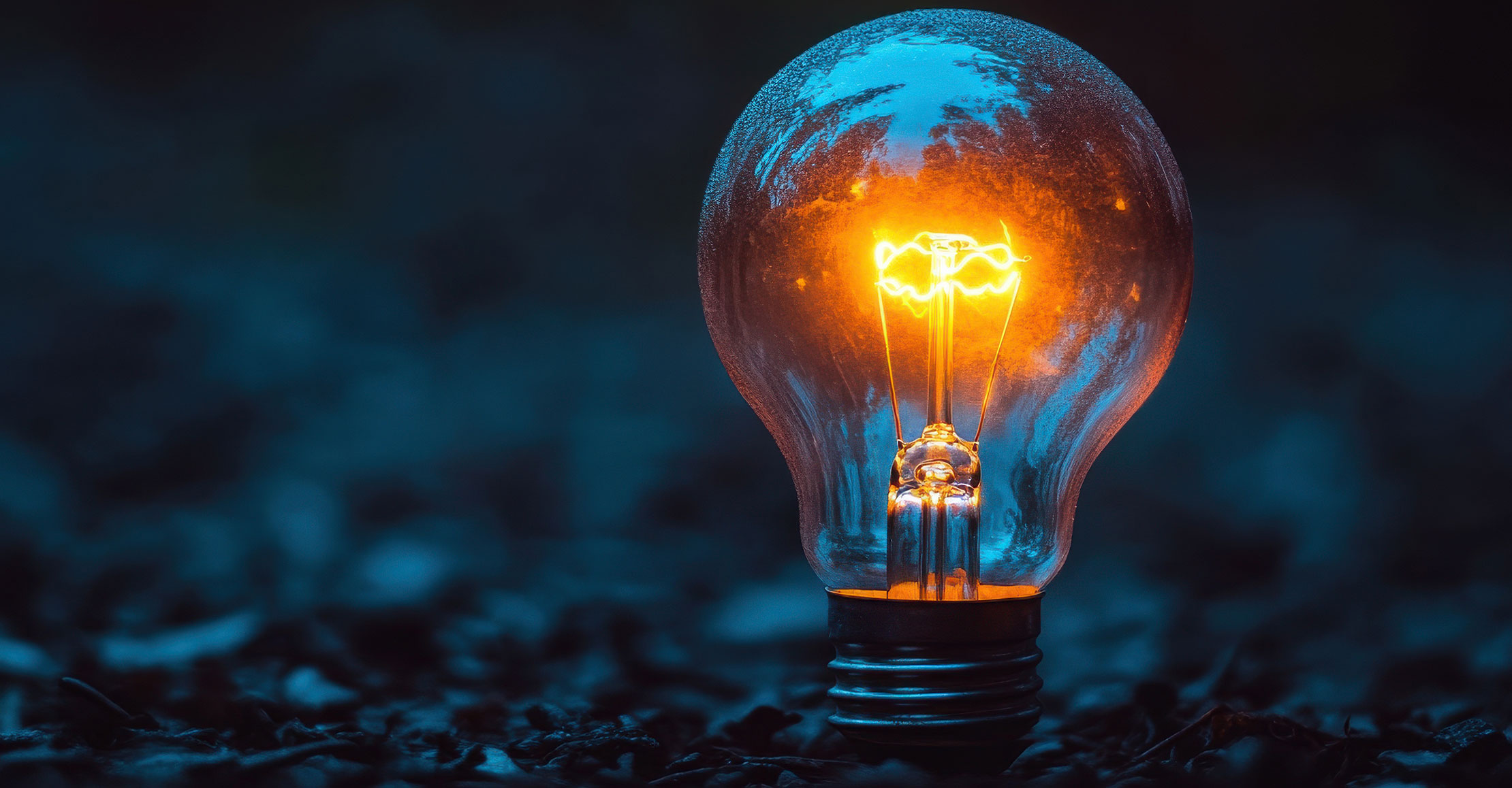 Intellectual property disputes | 2024 developments in context