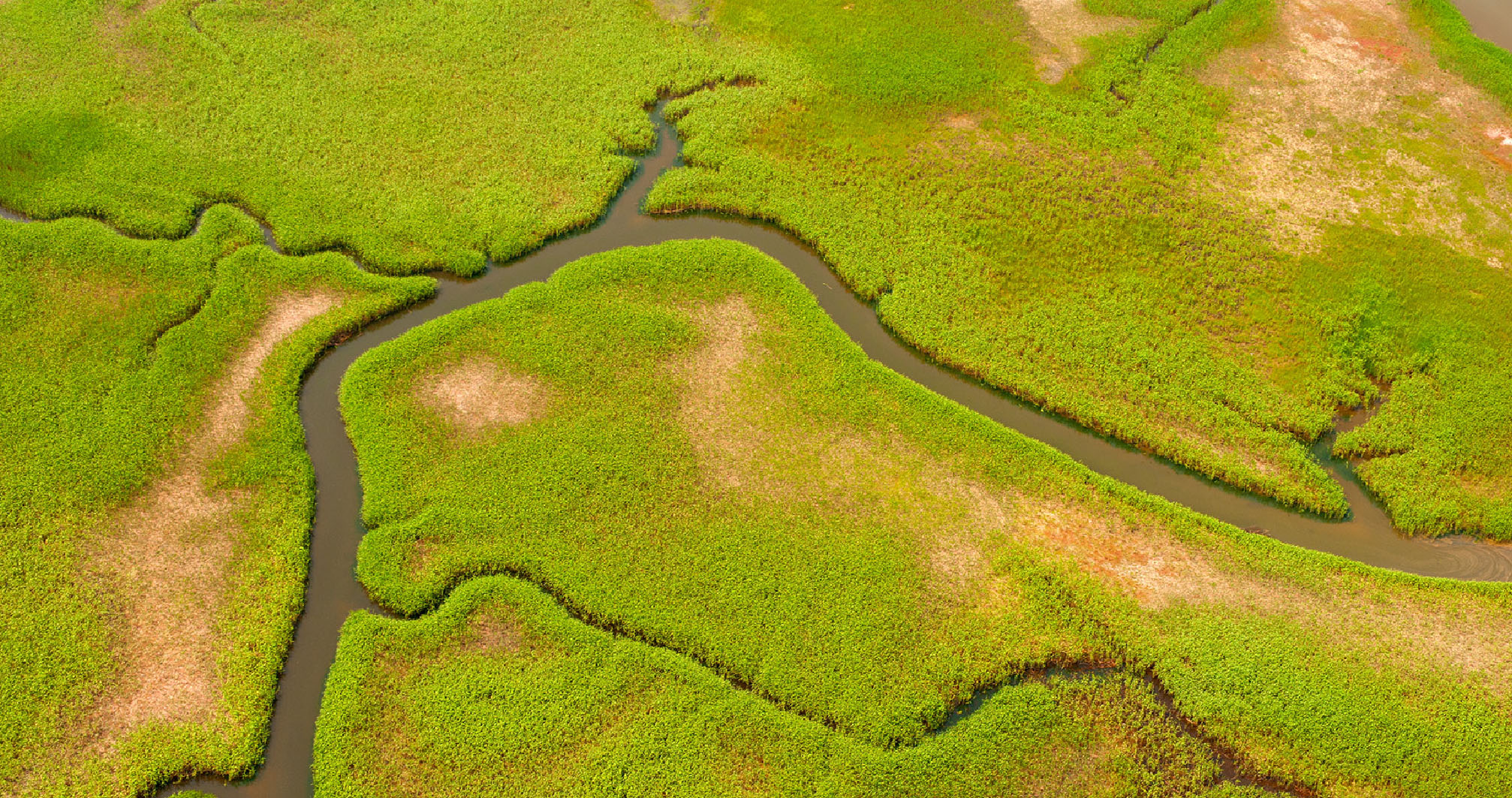 Commonwealth Nature Repair market given the green light, expands the ...