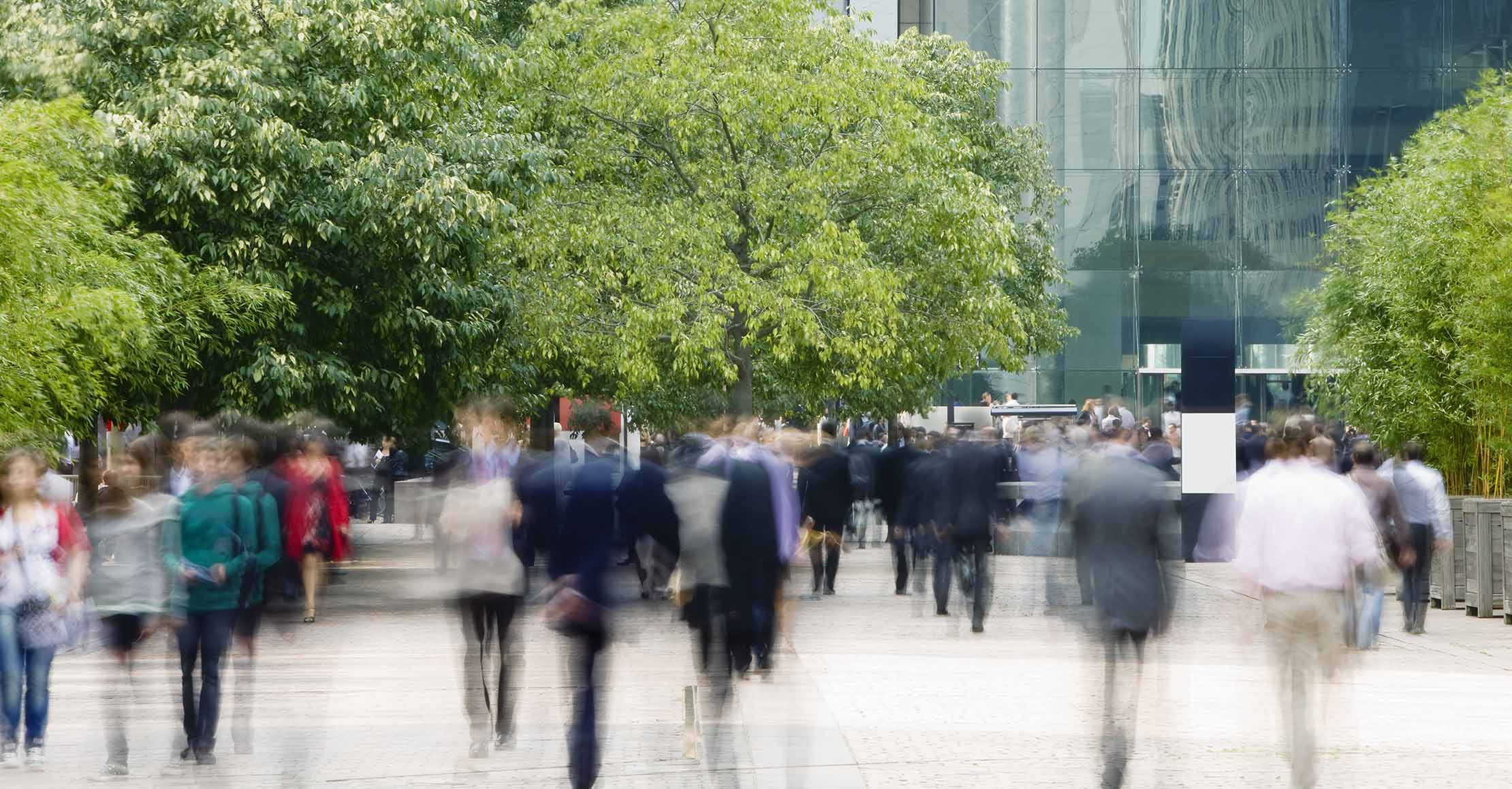 CSRD update: are the ESRS for non-EU entities a simplification?