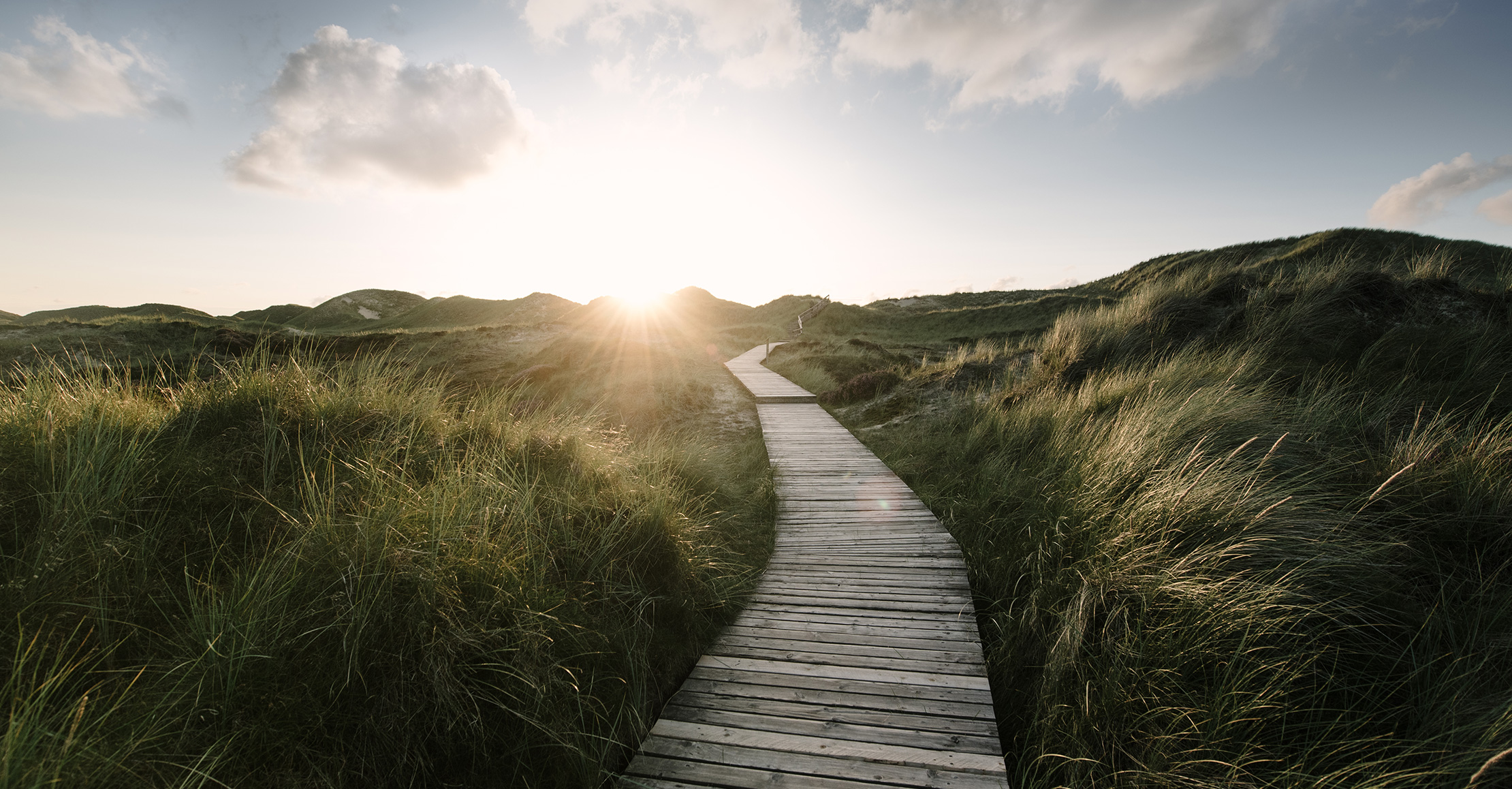 Court of Appeal considers when director liable as accessory to a tort ...